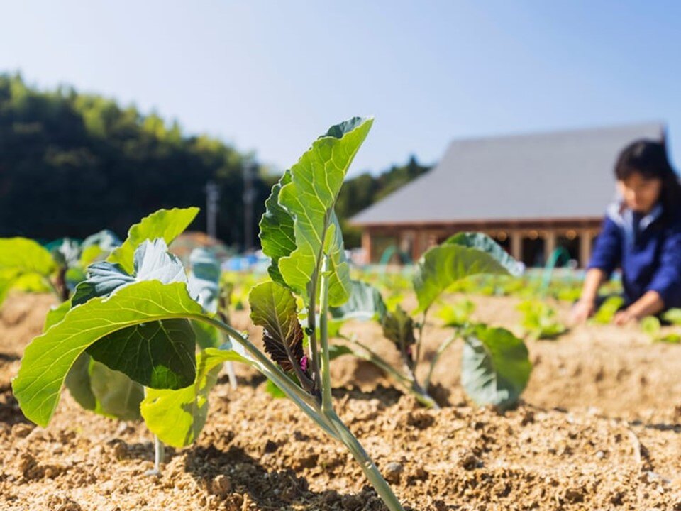 Awaji Nature Lab&Resortで自然体験｜“農ある暮らし”の体験プログラムをご紹介