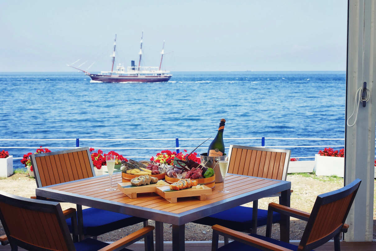 【夢洲～淡路交流の翼港】高速船PASONA NATUREVERSE号 団体利用のご案内