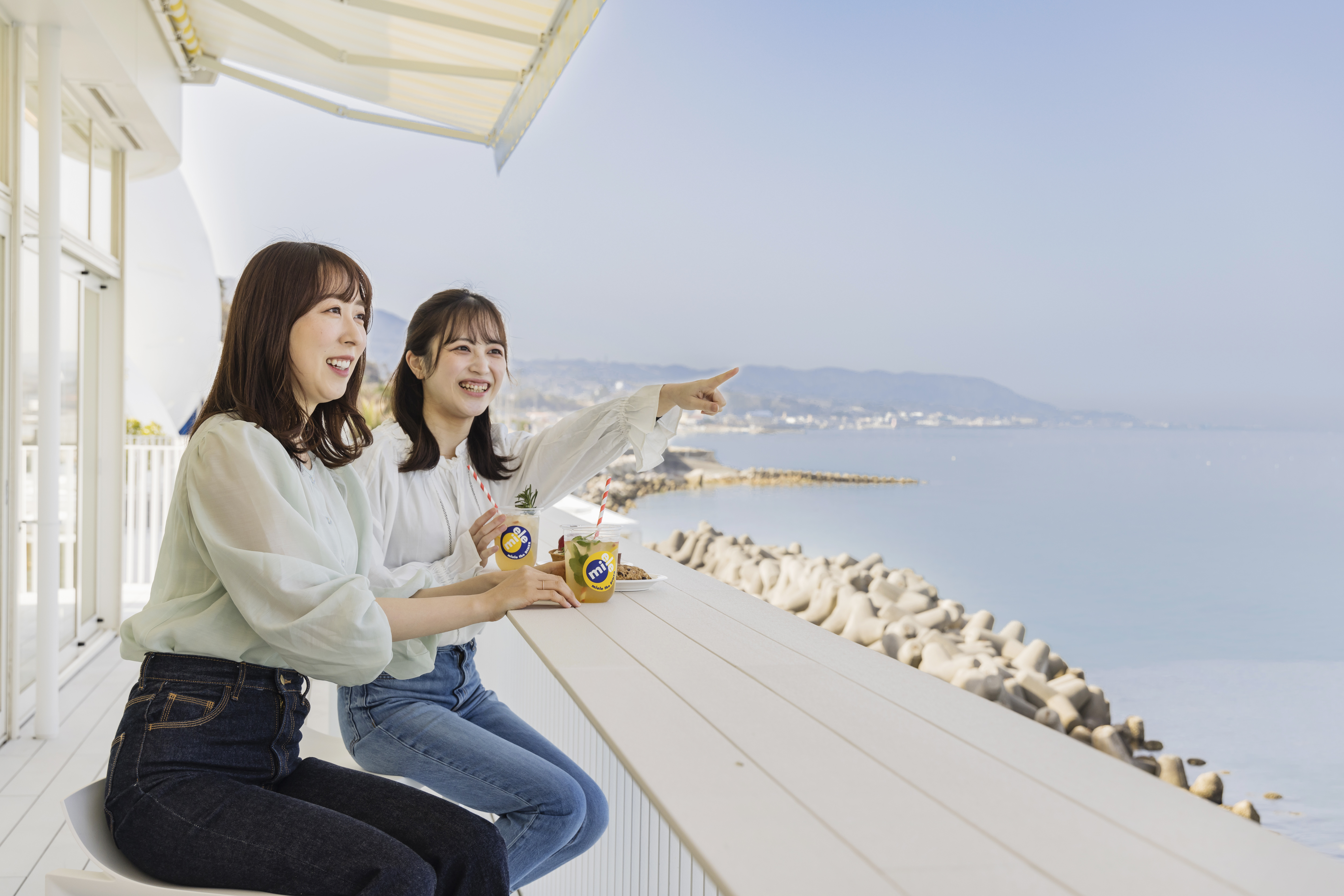 施設から見る【miele the DINER】